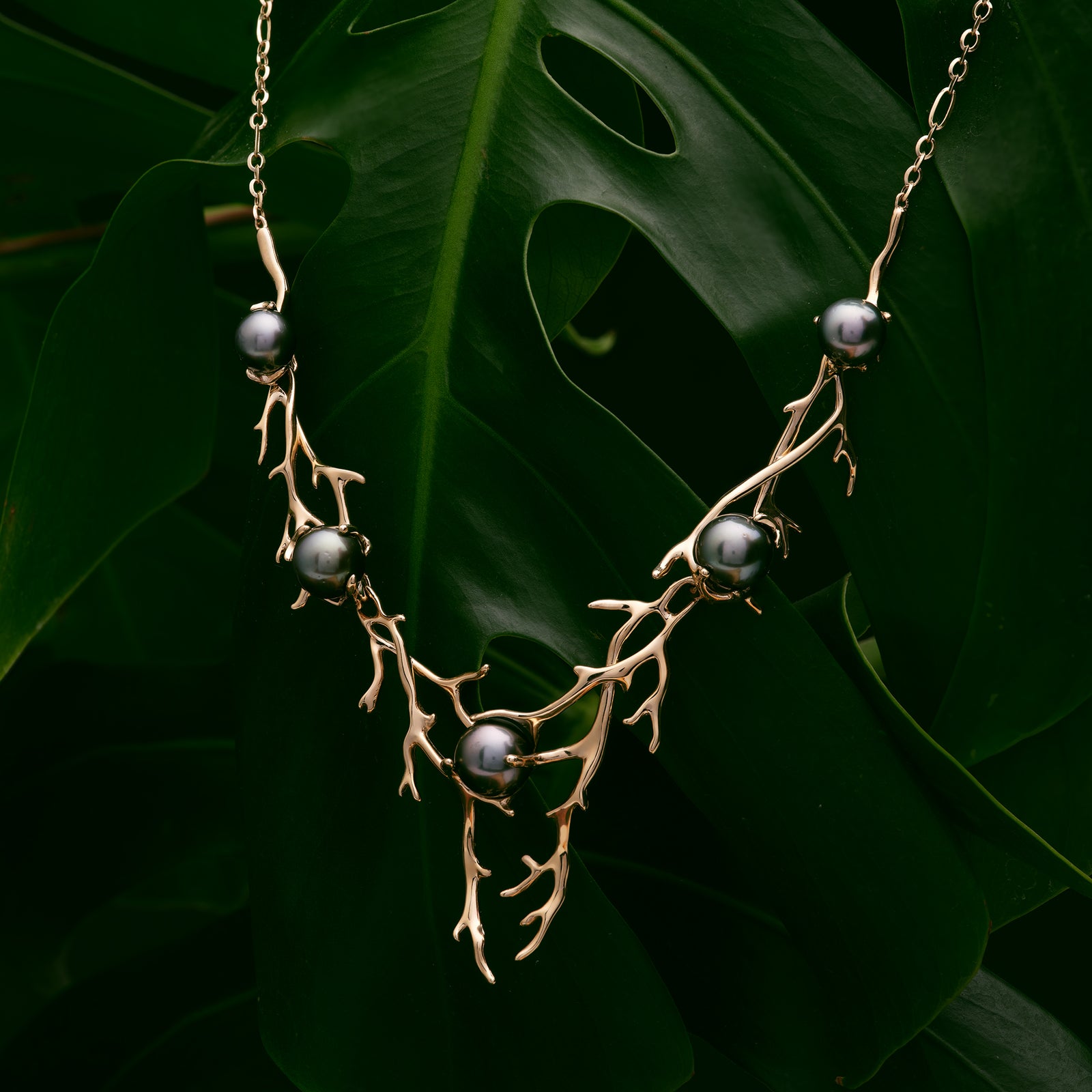 Shop All Maui Divers Jewelry Collections