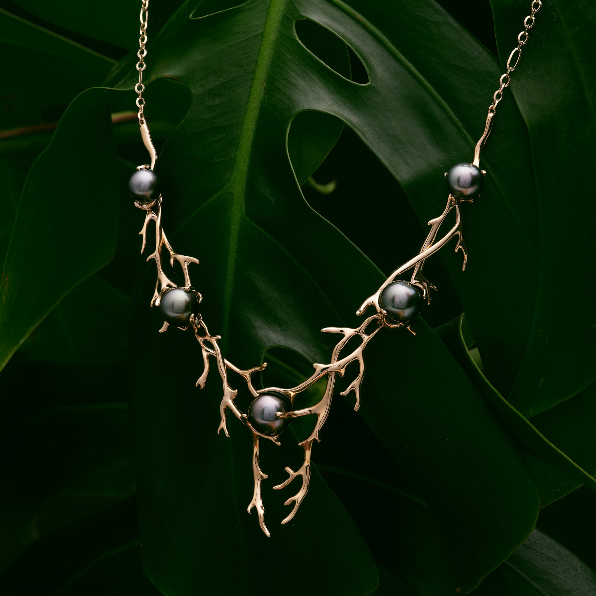 Shop All Maui Divers Jewelry Collections